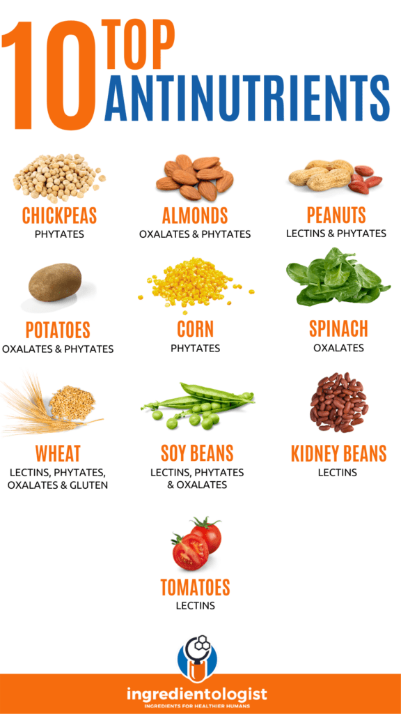 Your Guide To Antinutrients from Plants - Shawn Wells