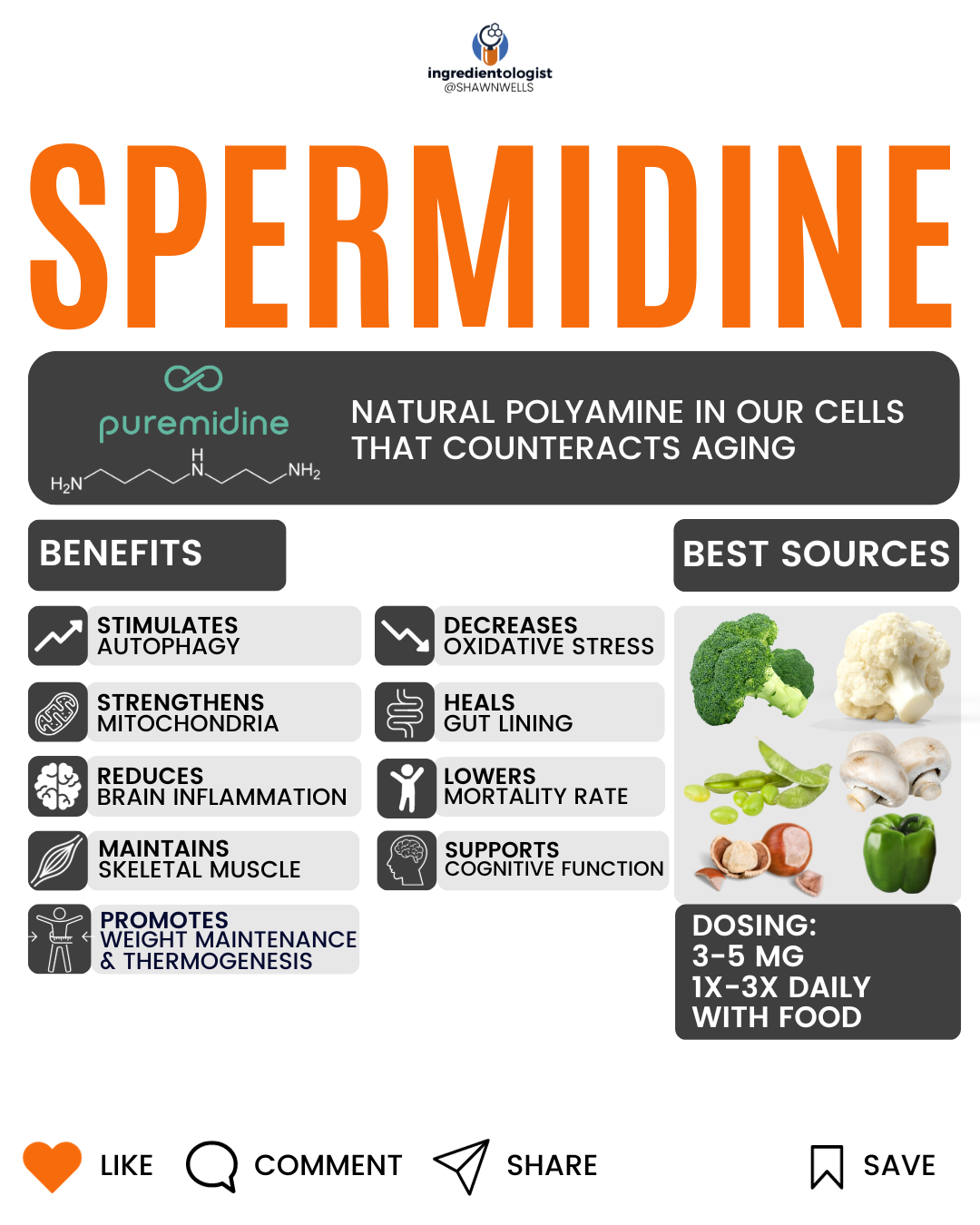 Spermidine: The Benefits of Fasting In A Pill?! | Shawn Wells
